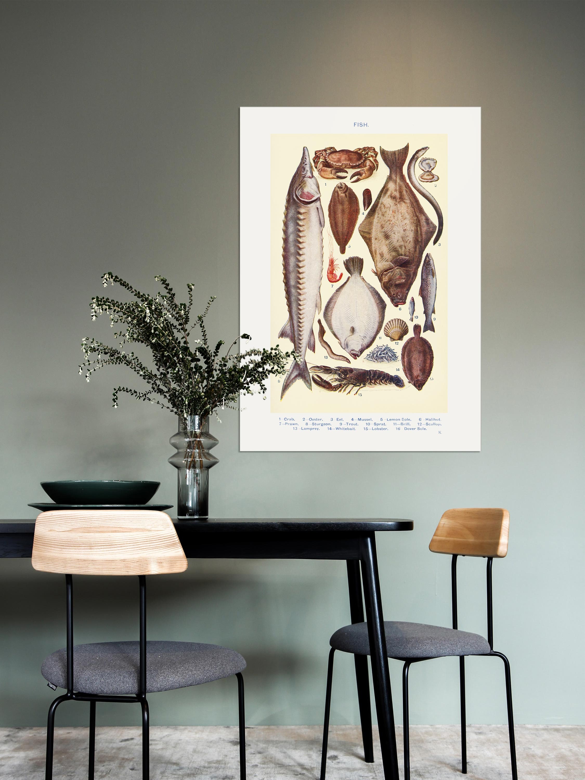 Vintage Fish Chart Art Print, Coastal Kitchen Decor, Seafood Poster - Etsy