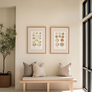 Vintage Seashell Art Print Set of Two – Nancy Meyers Inspired Beach ...