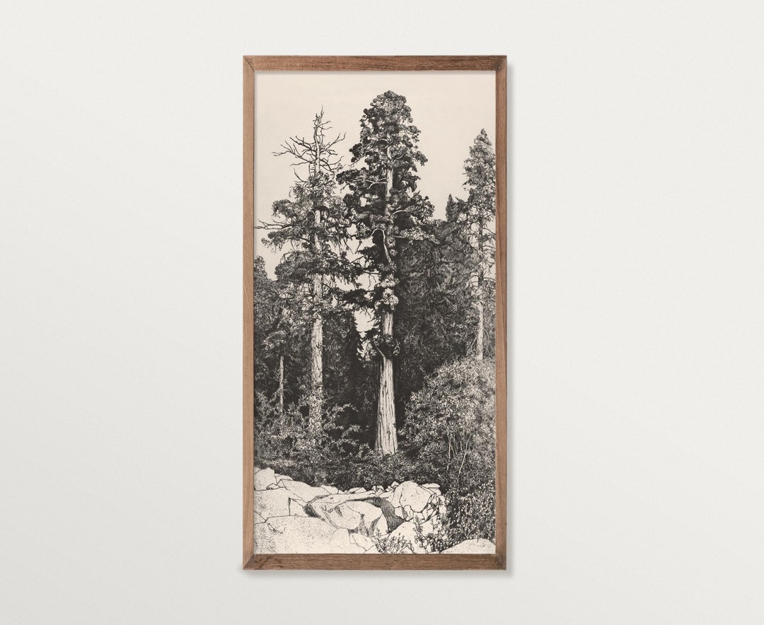 Vintage Tree Sketch Art Print, Panoramic Wall Art, Cottagecore Decor, Rustic Tree Etching ...