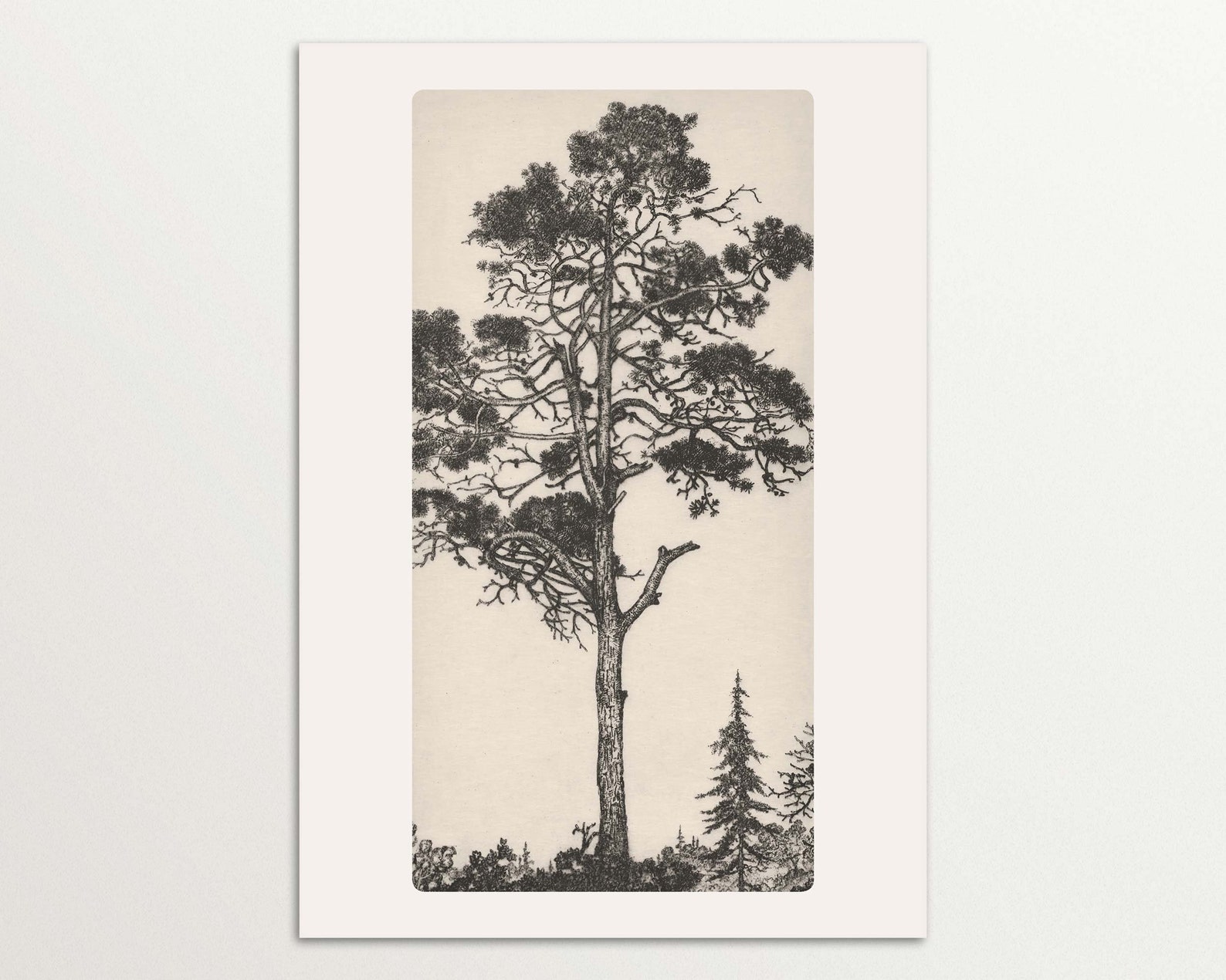 Vintage Tree Etching Print Set, Nature-inspired Gallery Wall Art ...