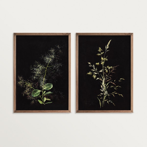 Dark Botanical Wallpaper - Etsy