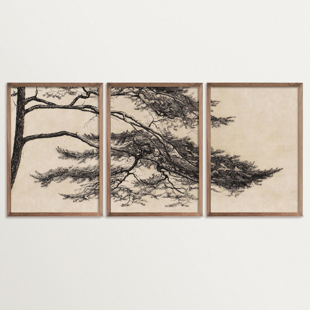 Vintage Pine Tree Etching Print Set of 3 Wall Art, Wabi Sabi Triptych ...
