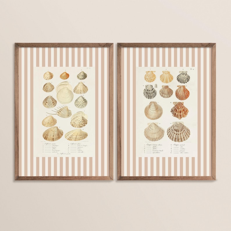 Vintage Seashell Art Print Set of Two – Nancy Meyers Inspired Beach ...