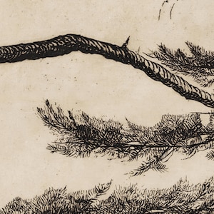 Vintage Pine Tree Etching Print Set of 3 Wall Art, Wabi Sabi Triptych ...