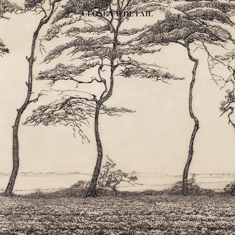 Vintage Pine Tree Etching Print Set of 3, Triptych Wall Art, Minimalist ...