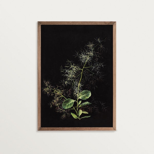Black Botanical - Etsy
