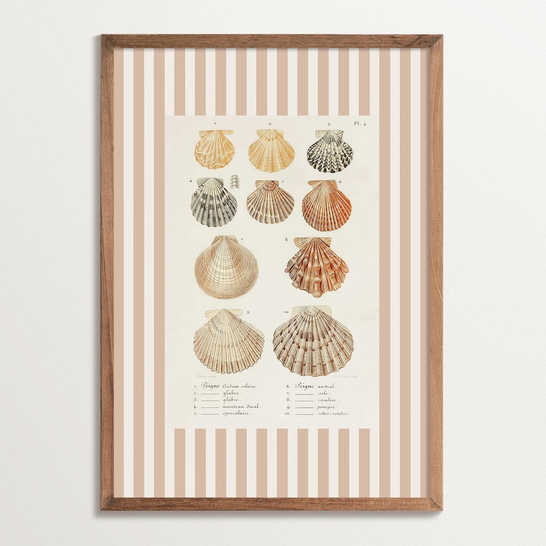 Vintage Seashell Art Print – Nancy Meyers Inspired Beach House Decor ...