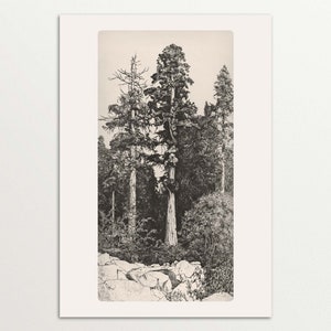 Vintage Tree Etching Print Set, Nature-inspired Gallery Wall Art ...
