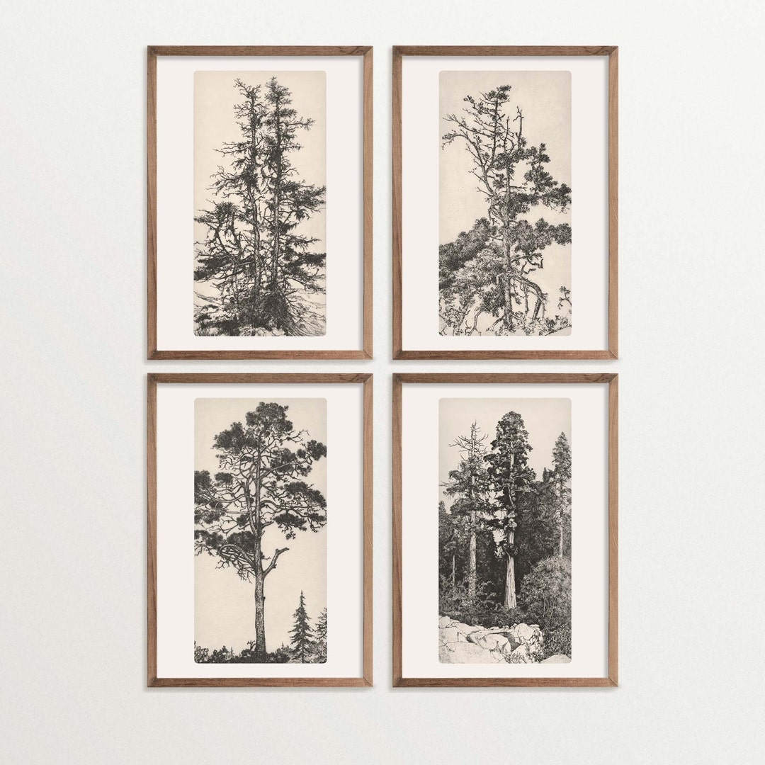 Vintage Tree Etching Print Set, Nature-inspired Gallery Wall Art ...