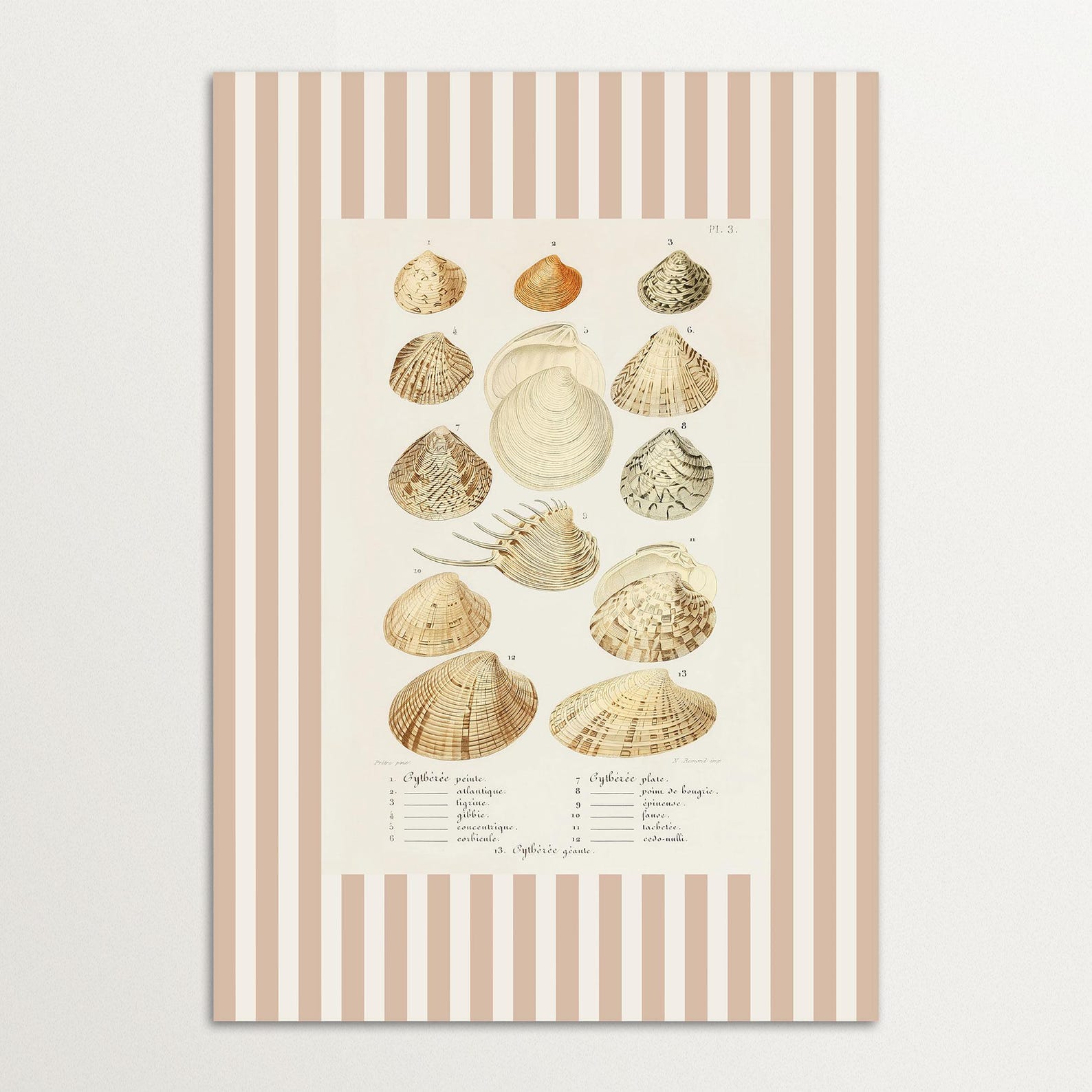 Vintage Seashell Art Print Set of Two – Nancy Meyers Inspired Beach ...