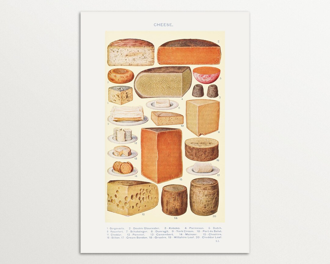 Kitchen Art Print, Cheese Print, Retro Wall Art, Cheese Lover Gift - Etsy