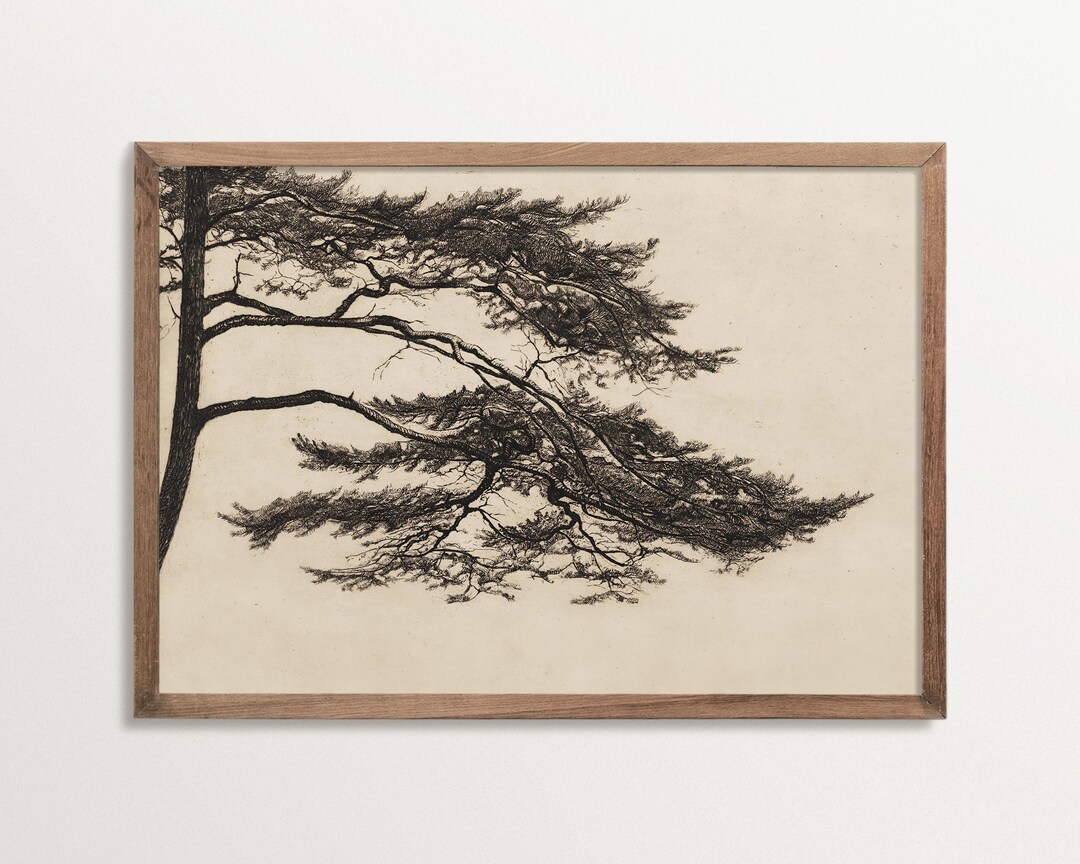 Vintage Pine Tree Sketch Art Print, Cottagecore Decor, Tree Etching ...