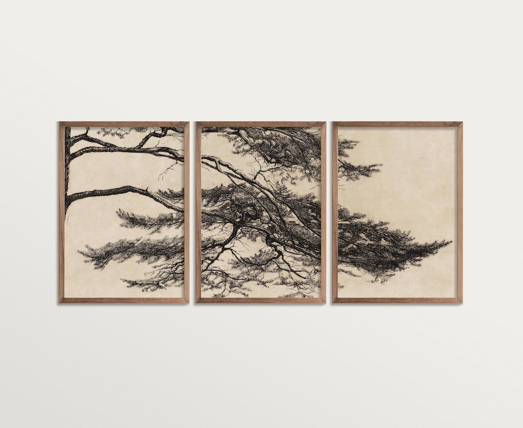 Vintage Pine Tree Etching Print Set of 3 Wall Art, Wabi Sabi Triptych ...