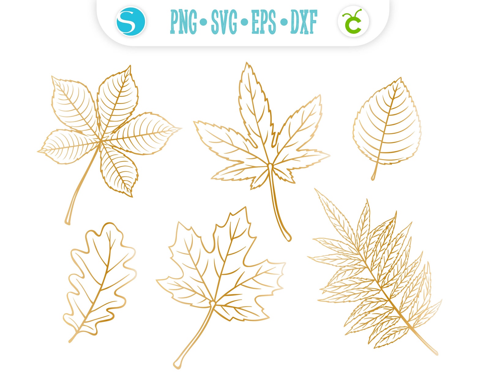 Leafs SVG Vector Cricut Leaf SVG for Cricut Leafs Set PNG | Etsy