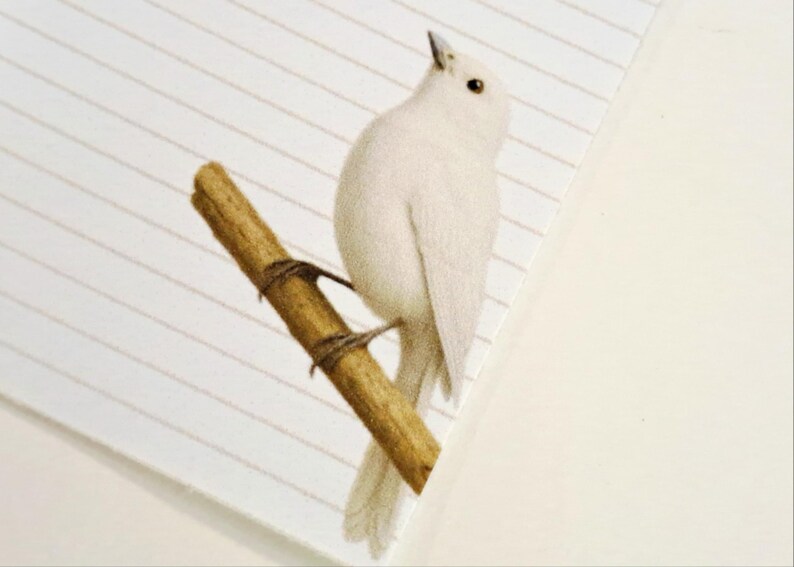 The 3 Different Bird Memo Notepad, to Do List - Etsy