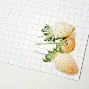 The Strawberry Memo Notepad, 3 Different Strawberry Designs - Etsy