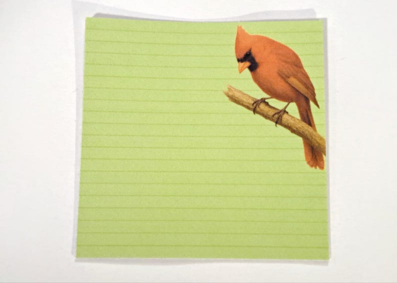 The 3 Different Bird Memo Notepad, to Do List - Etsy