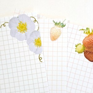 The Strawberry Memo Notepad, 3 Different Strawberry Designs - Etsy