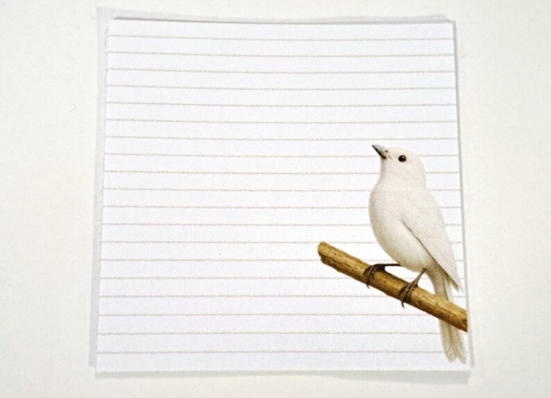 The 3 Different Bird Memo Notepad, to Do List - Etsy