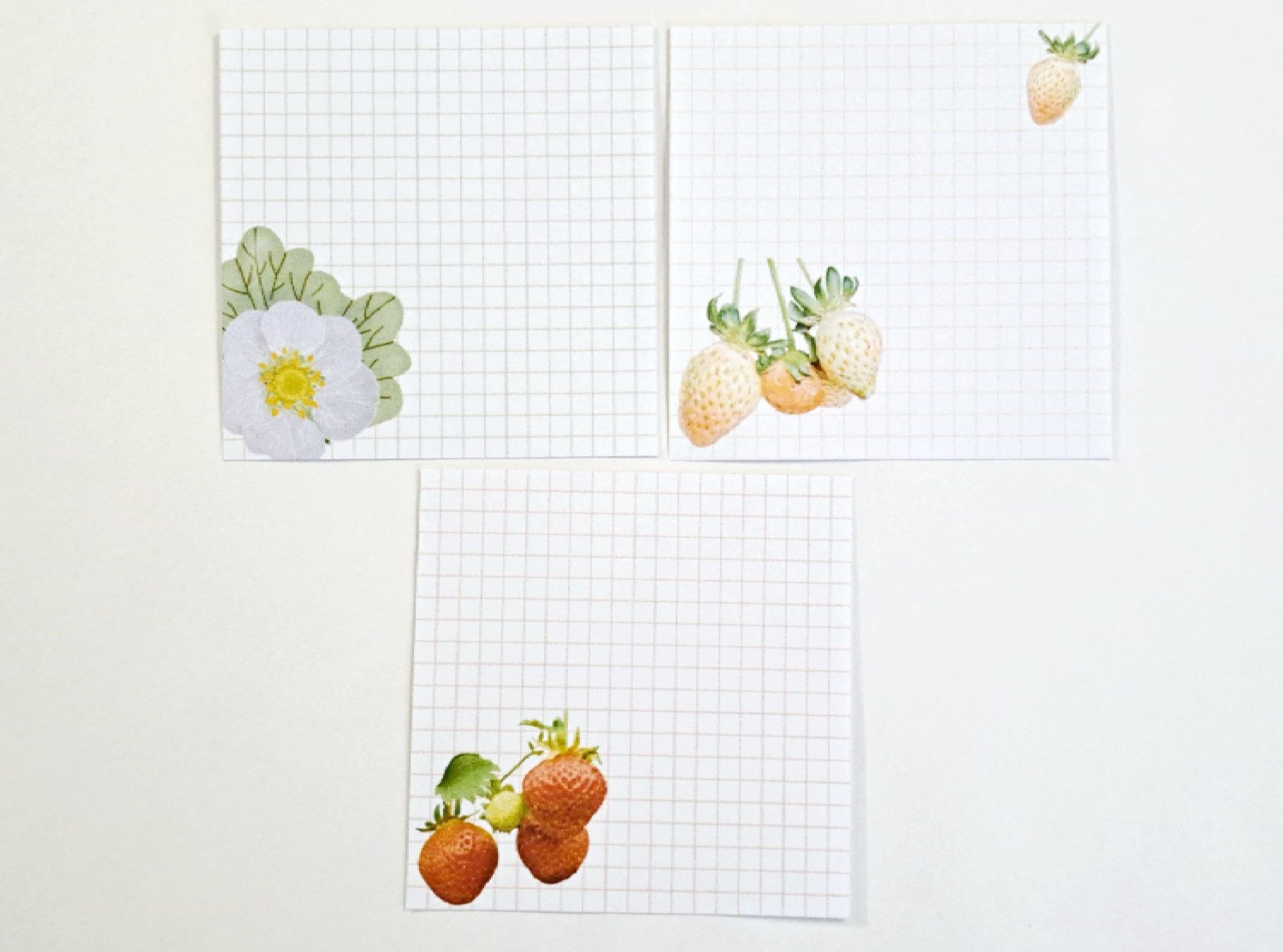 The Strawberry Memo Notepad, 3 Different Strawberry Designs - Etsy