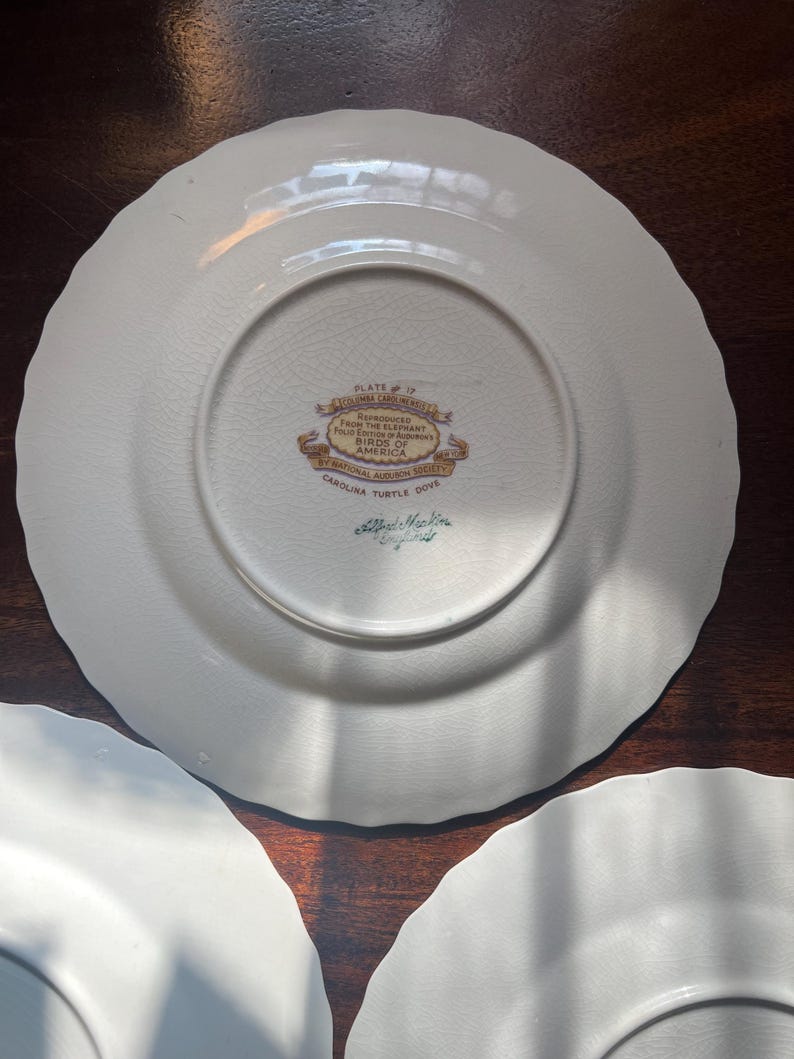 Set of 3 Alfred Meakin Birds of America Audubon Lunch Plates - Etsy