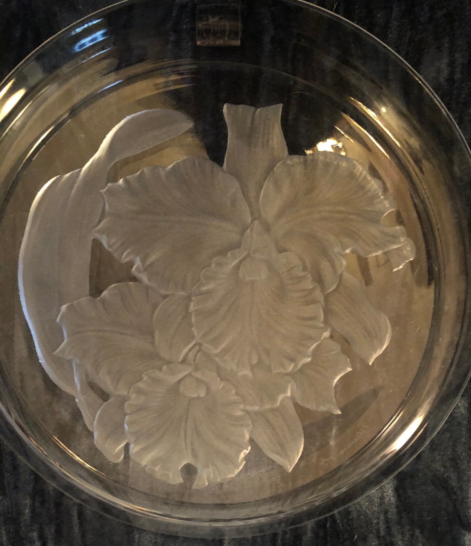 Hoya Flower of the Month Crystal Plates January Daffodils February ...