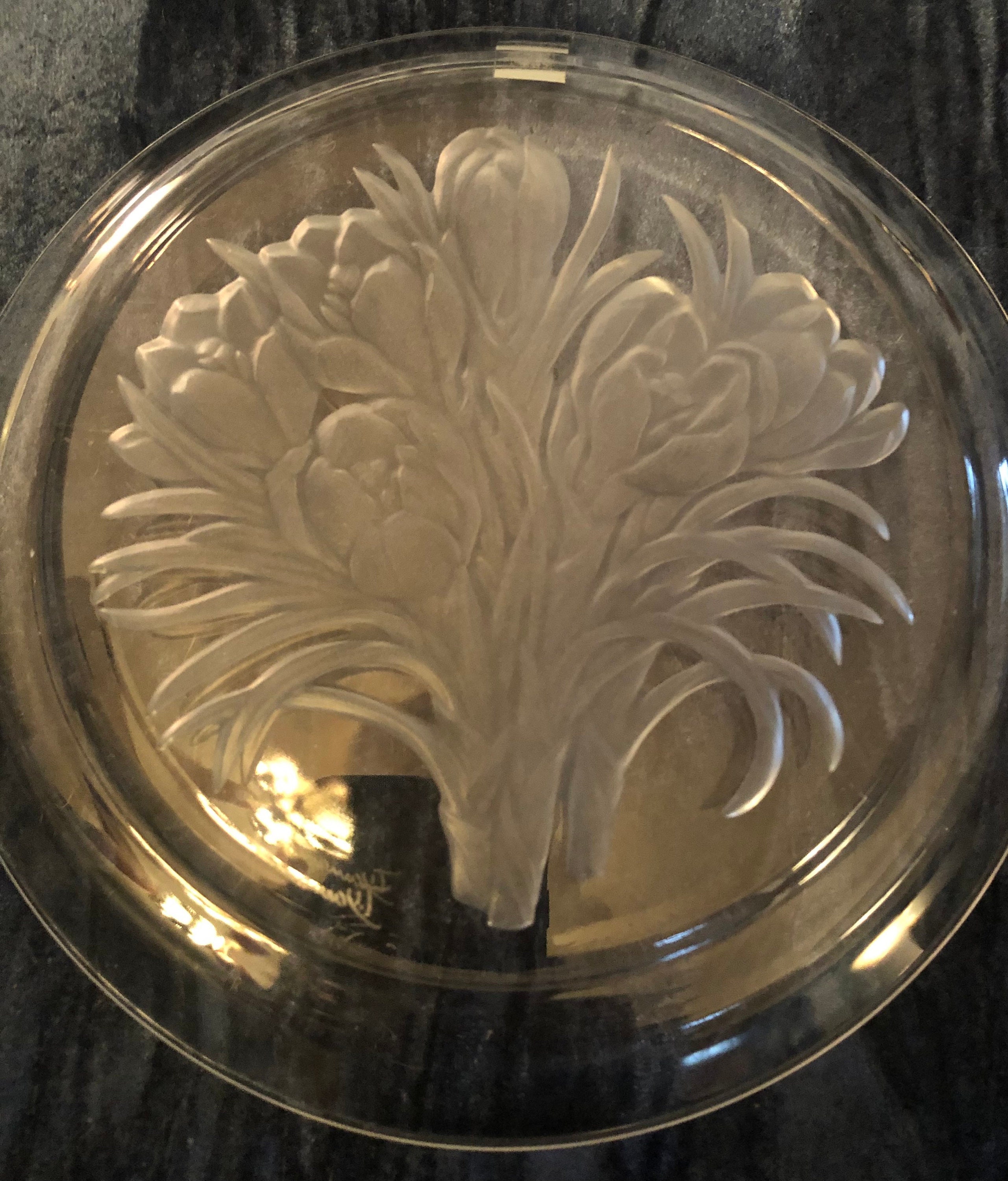 Hoya Flower of the Month Crystal Plates January Daffodils - Etsy