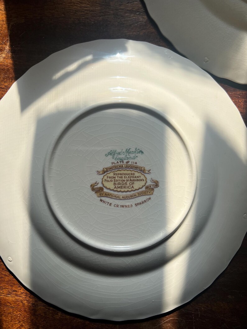 Set of 3 Alfred Meakin Birds of America Audubon Lunch Plates - Etsy