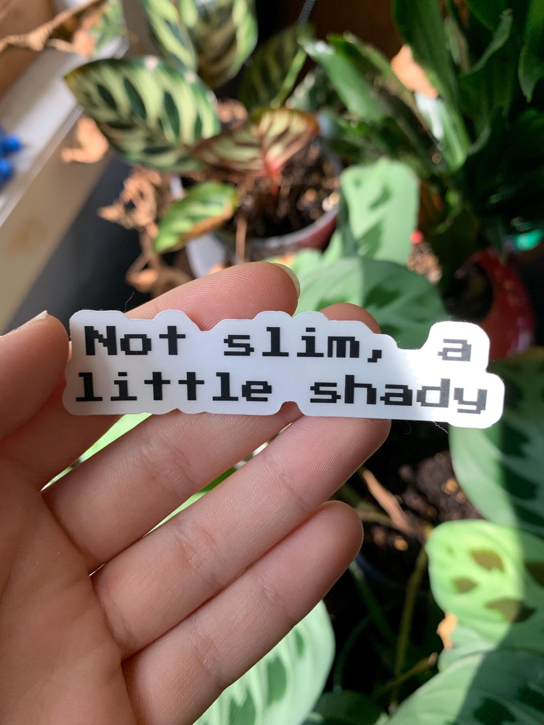A Little Shady Transparent Sticker - Etsy