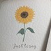 Sunflower Notecards/ Flower Notelets/ Blank Greetings Cards - Etsy UK