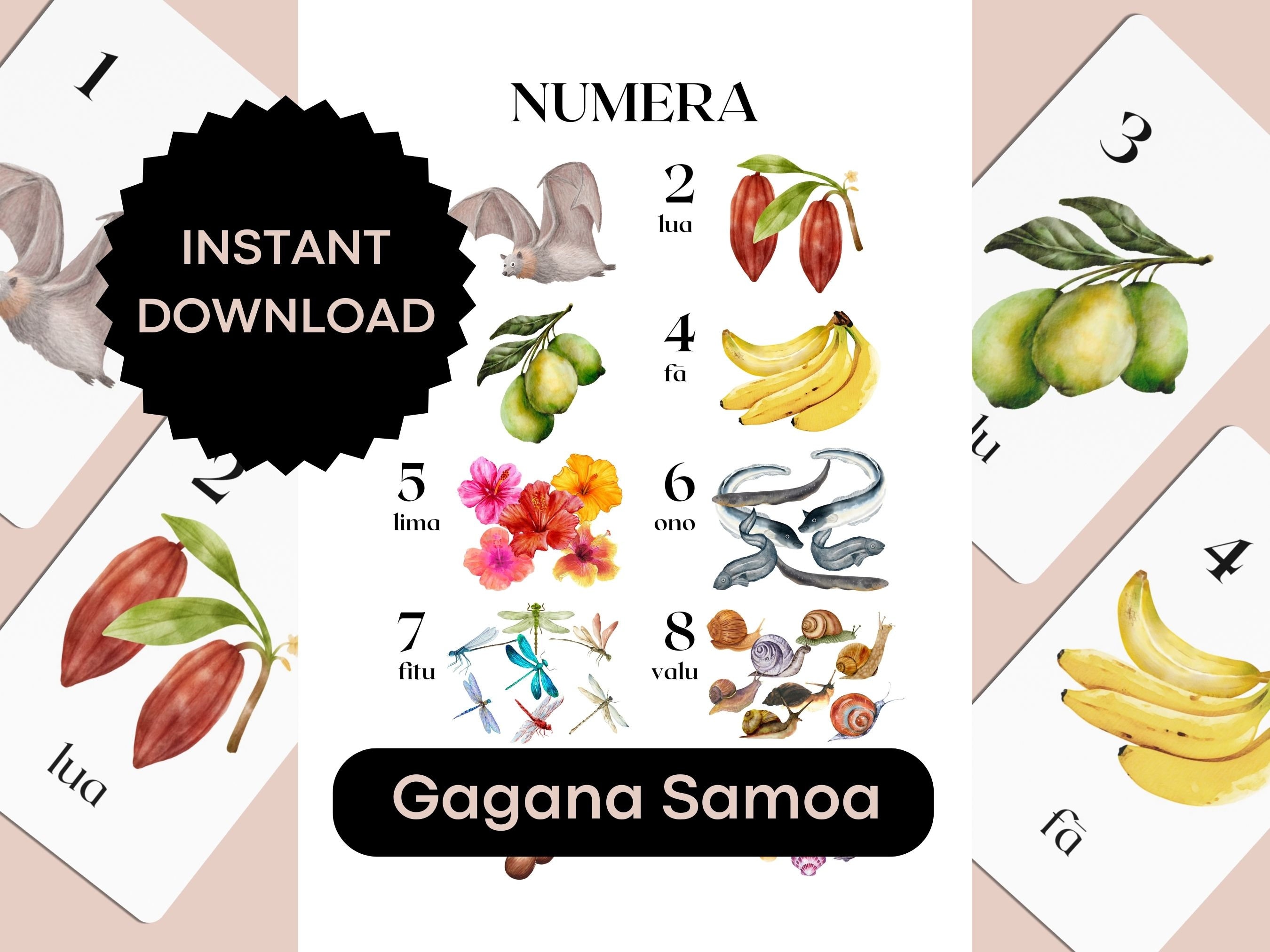 Gagana Samoa Educational Resource Numera number Chart & Flashcards ...