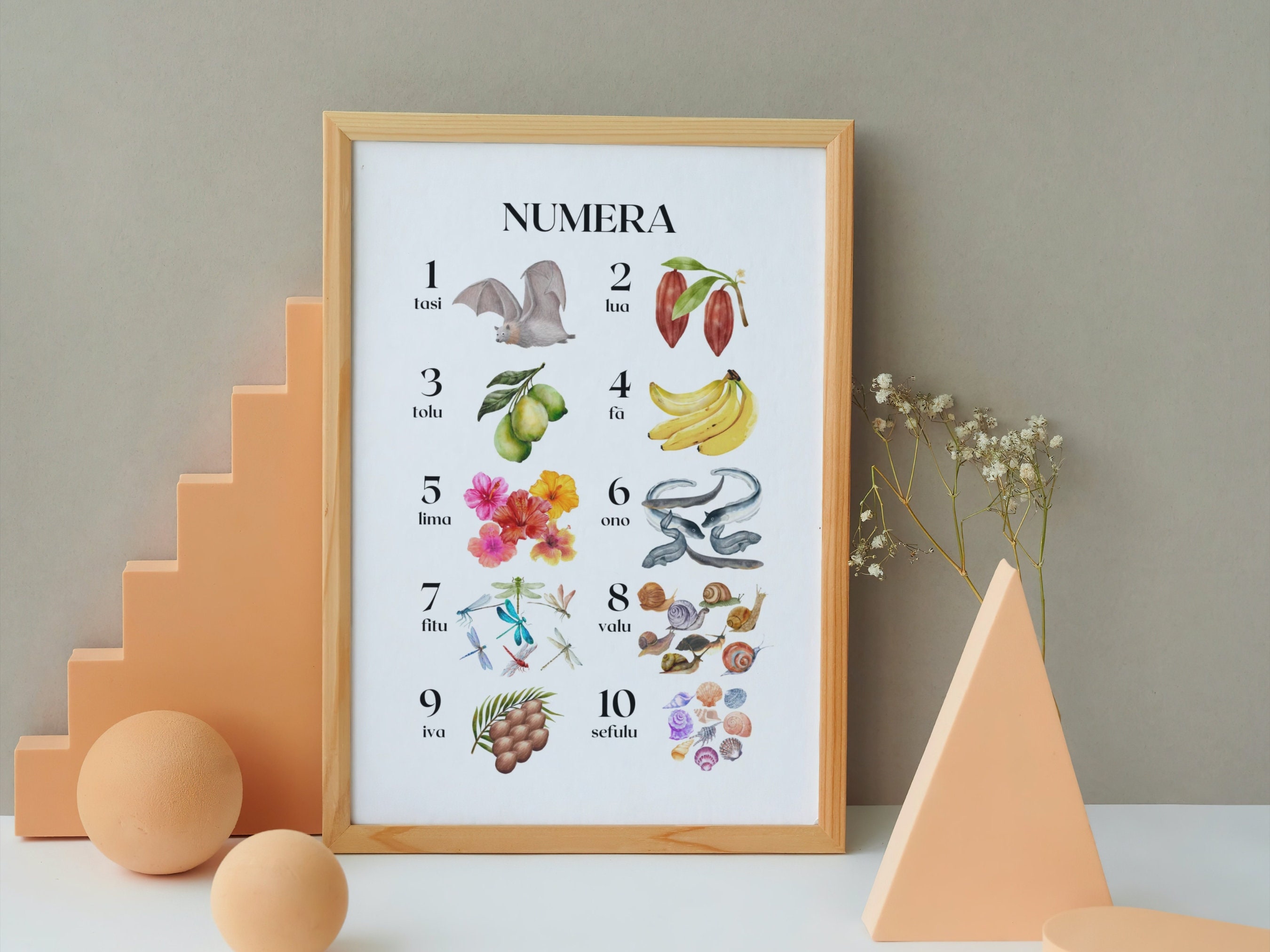 Gagana Samoa Educational Resource Numera number Chart & Flashcards ...