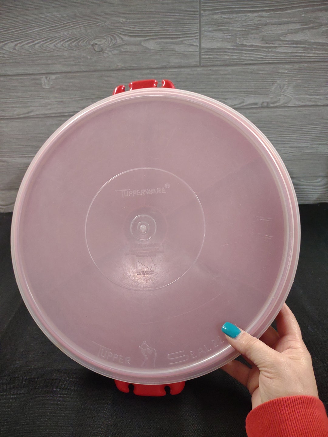 Tupperware Relish Divider Tray With Lid - Etsy