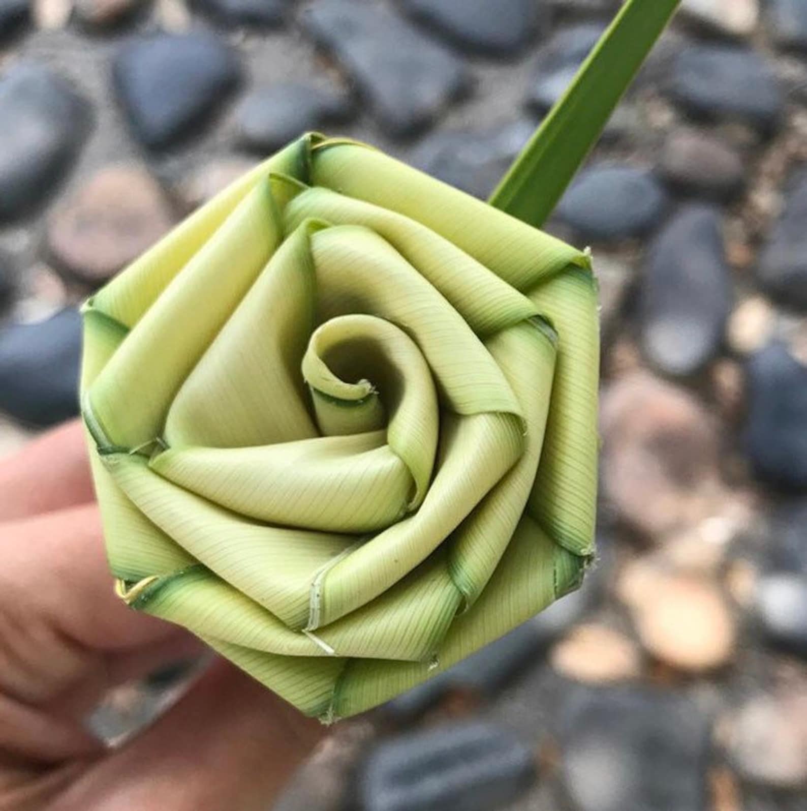 Gullah Rose Boho Boutonniere Sweetgrass Flower Groomsmengroomsmen ...