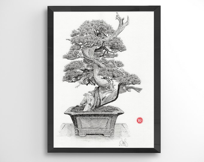 Japanese Bonsai Tree Pen & Ink Sketch, Downloadable Asian Art, Download ...