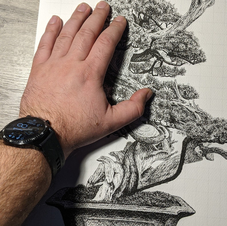 4 Bonsai Shimpaku Juniper - Moyogi Style, Poster, Decor, Art, Japanese ...