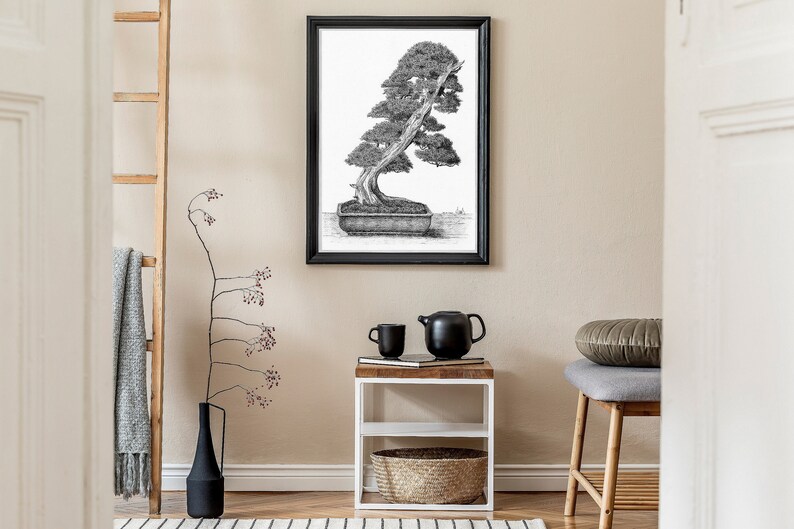 3 Bonsi Shimpaku Juniper Shakkan Style, Poster, Decor, Art, Japanese ...