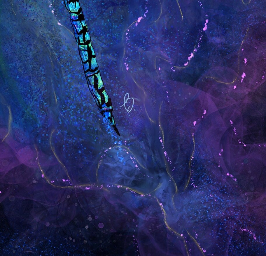 Dragonfly Wall Art Print Abstract Dragonfly Insect Nature Wildlife Home ...