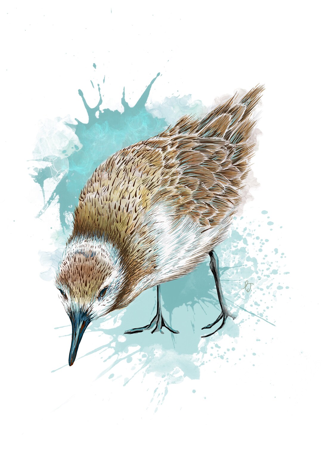 Sandpiper Sanderling Bird Art Wall Print Coastal Beach Hut Art Nautical ...