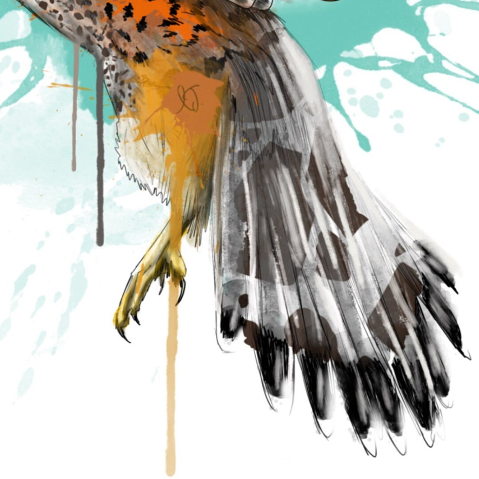 Kestrel Bird of Prey Animal Art Print Wall Hanging Nature Wildlife Art ...