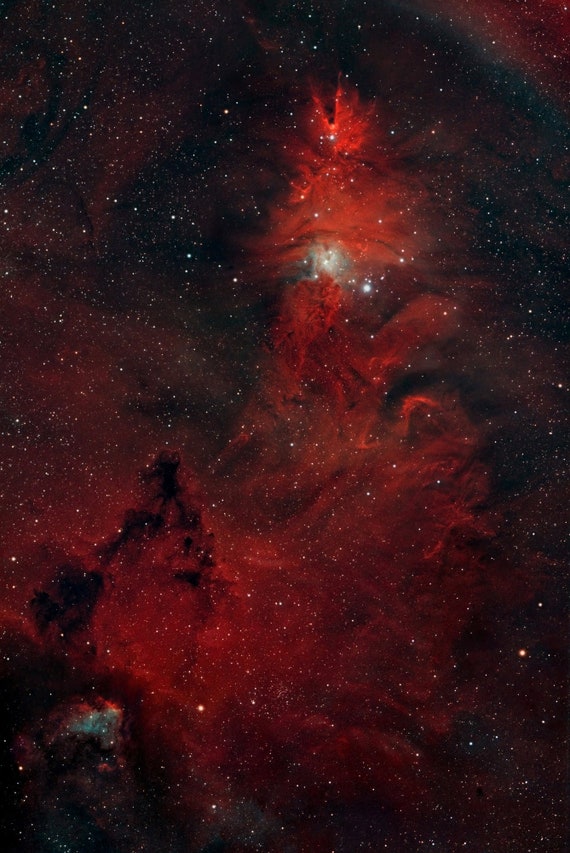 Christmas Tree Nebula