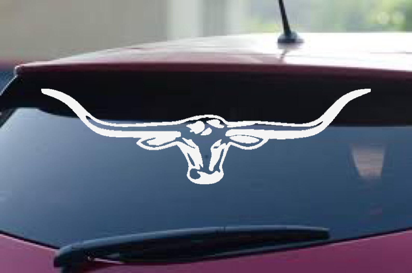 Longhorn Car Sticker - Etsy