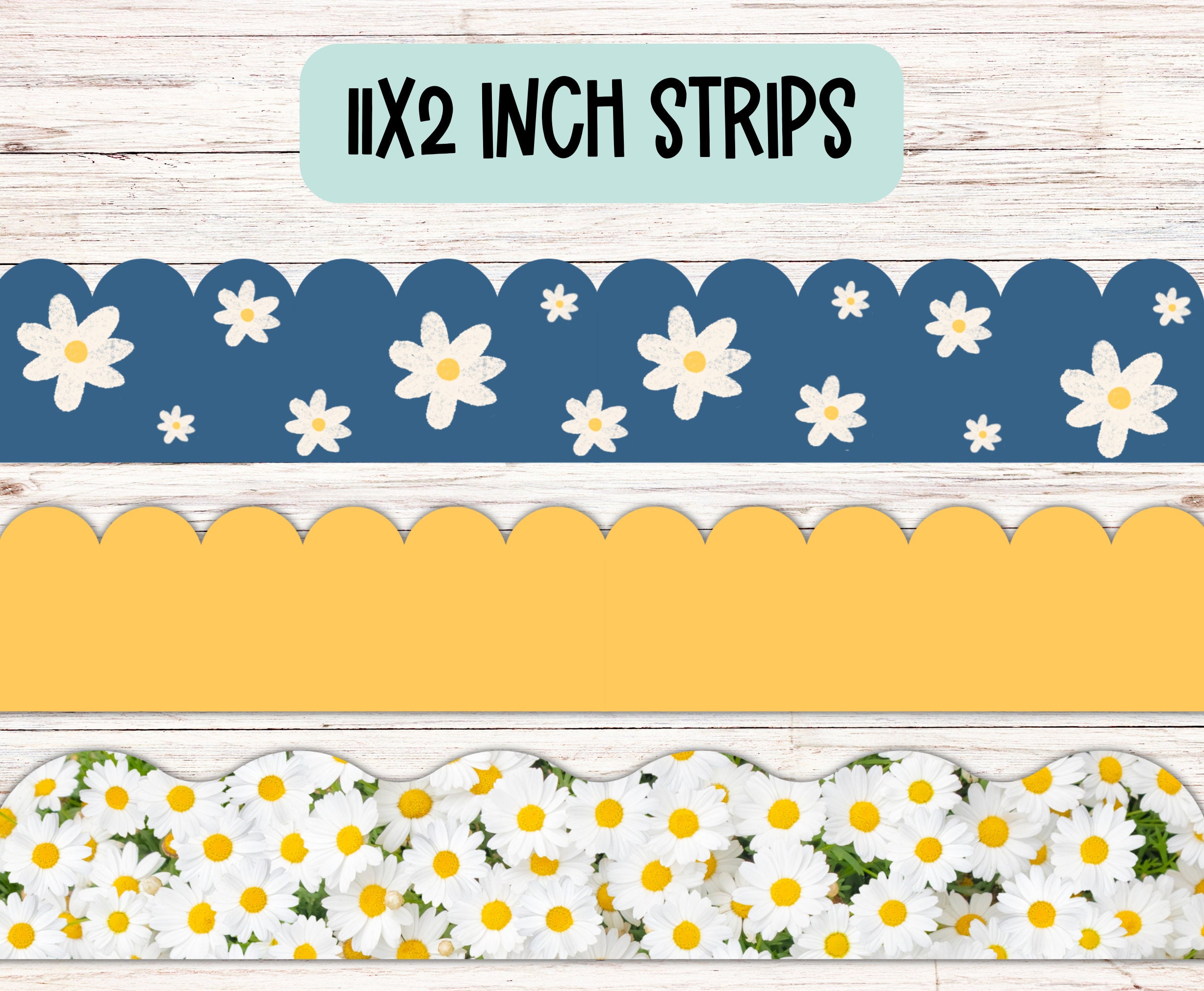 Classroom Bulletin Borders Kit Bold Daisy Neutral Collection ...