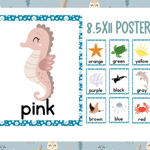 Color Posters for Elementary School Classroom Educational Resource - Etsy