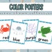 Color Posters for Elementary School Classroom Educational Resource - Etsy