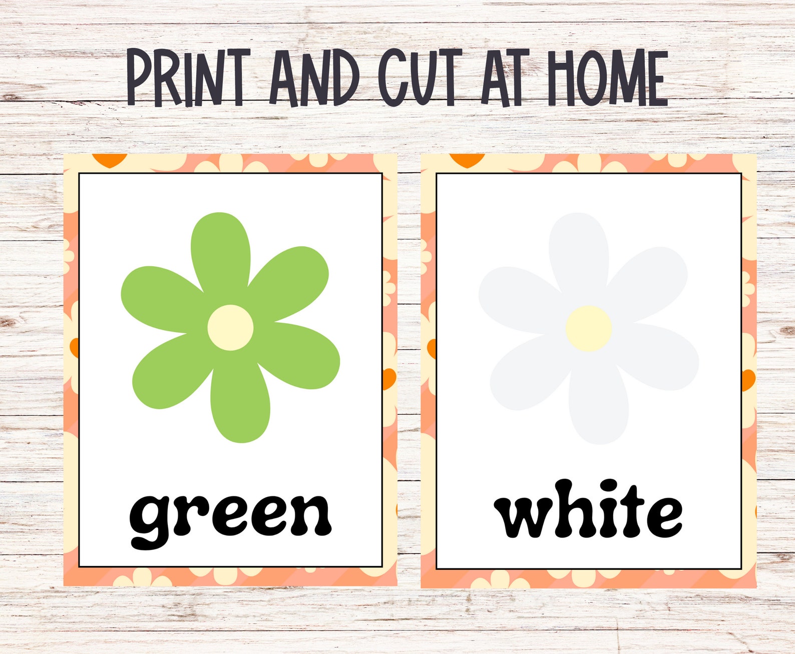 Color Daisy Posters Groovy Theme Classroom - Etsy