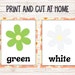 Color Daisy Posters Groovy Theme Classroom - Etsy