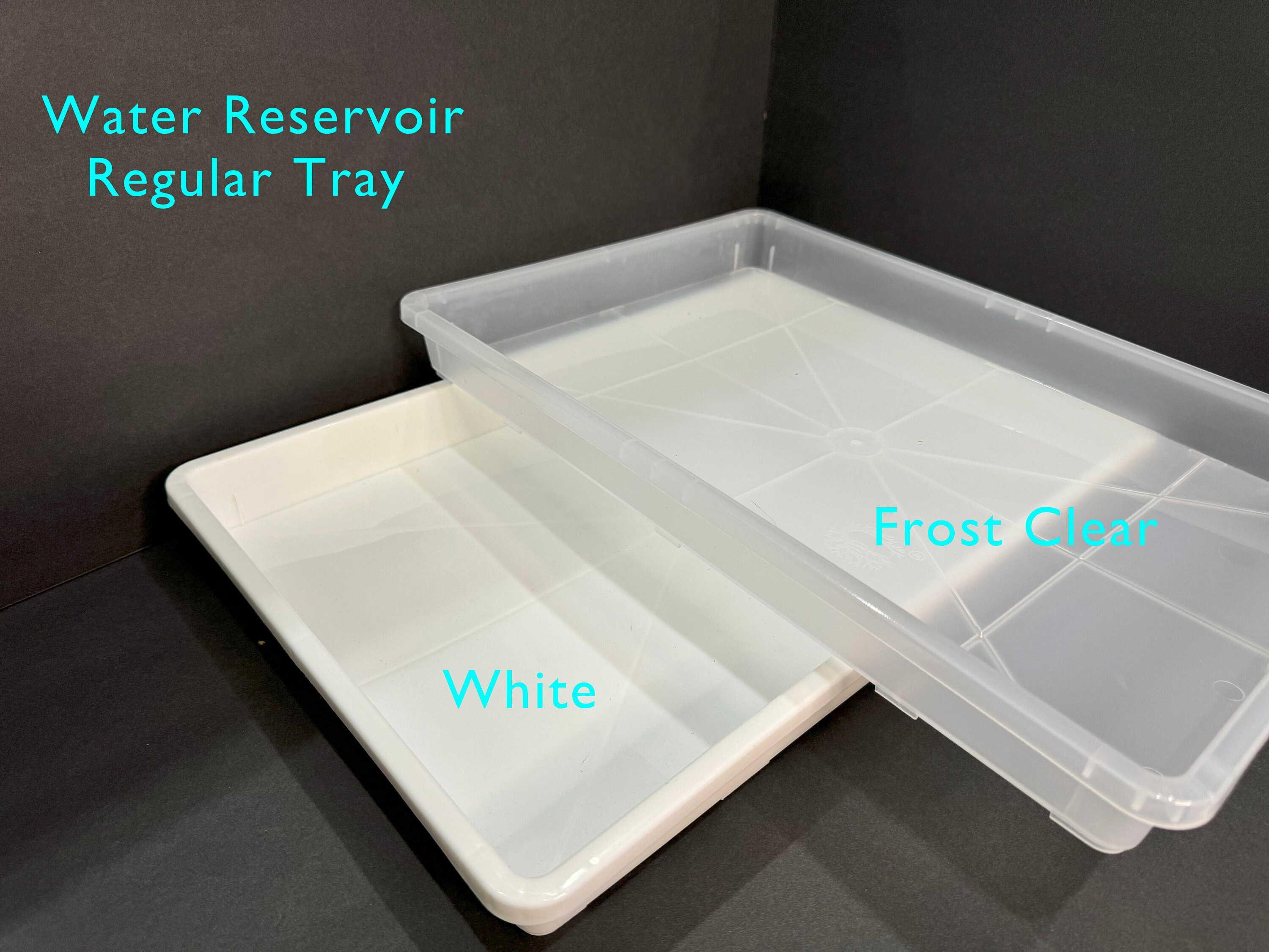 Seedling Starter Kit | Propagation Tray, Dome Cover, 40 Frosted Clear ...
