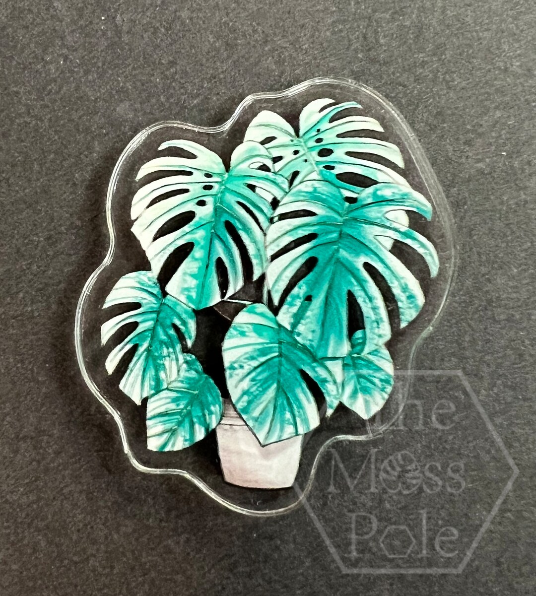 Monstera Mint Plant Magnet | Plant Lover Gift | Plant Kitchen Decor ...