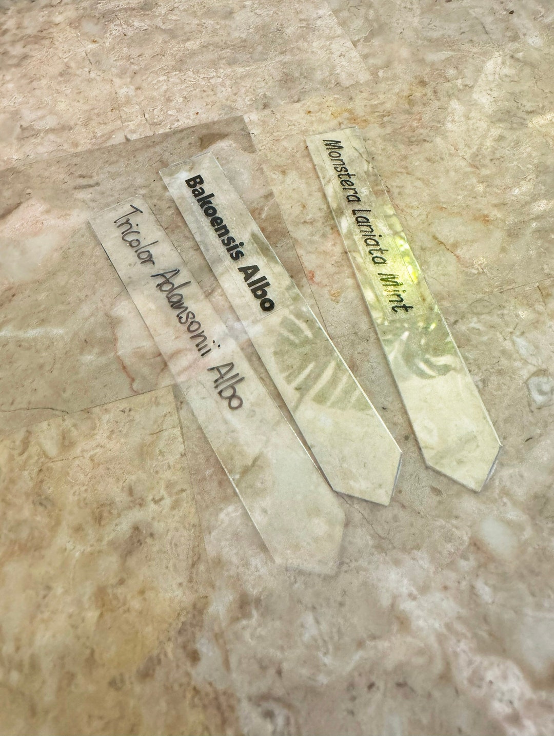 Clear Plant Tags - Transparent Orchid Tags - Clear Tags for Plants - Etsy